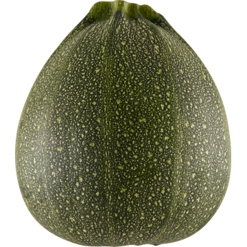 Courgette bakken: tips, recepten & inspiratie - Jumbo — Jumbo Supermarkten